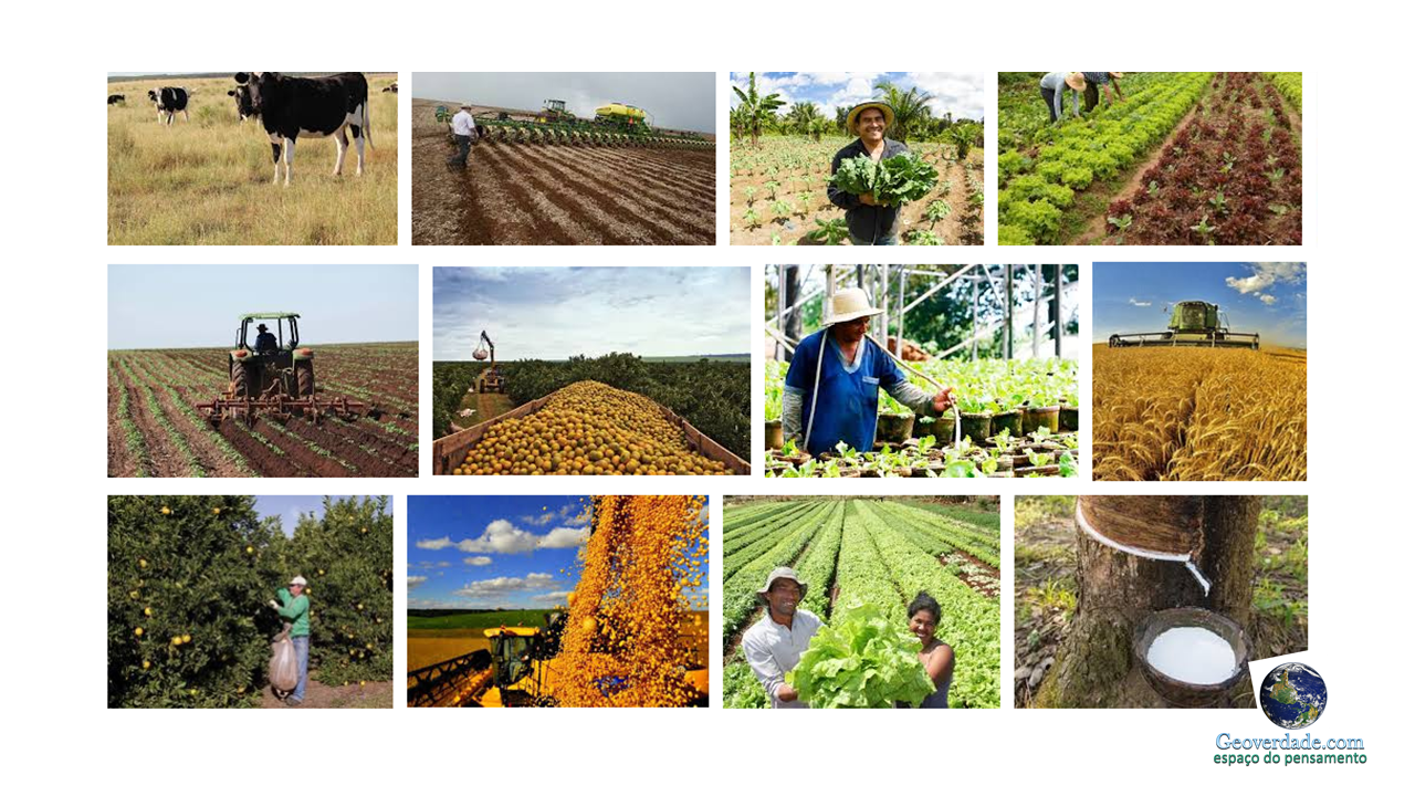 Setores da Economia (fotos) – Prof Luciano Mannarino
