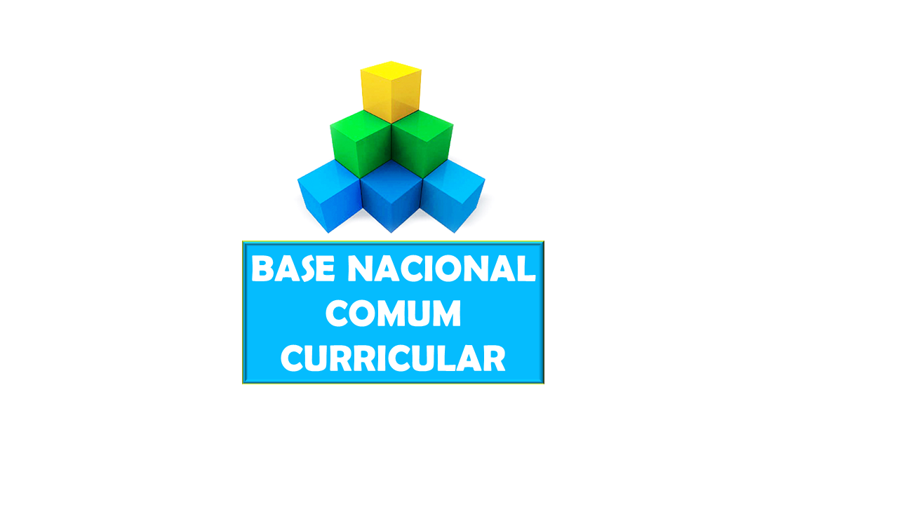 BNCC – Prof Luciano Mannarino